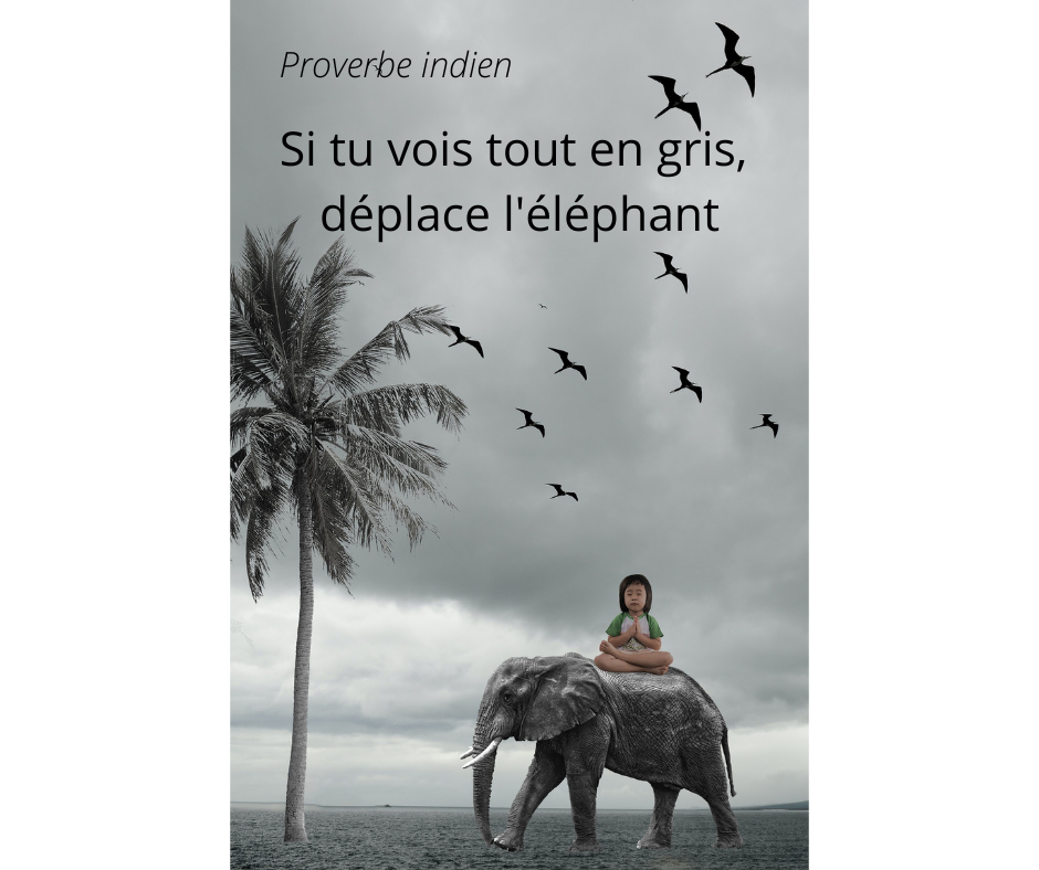 Questionnaire fleurs de Bach Vitalité - Conseil Naturo